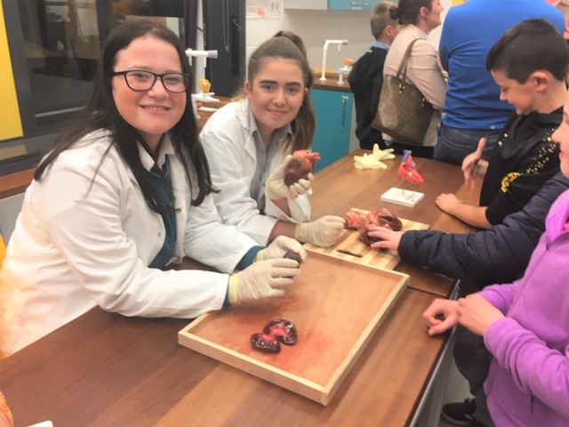 Open Night – Coláiste Clavin